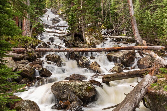 Explore & Photograph Wild Basin in Rocky Mountain National Park with a Pro - An In-Depth Look at the Experience