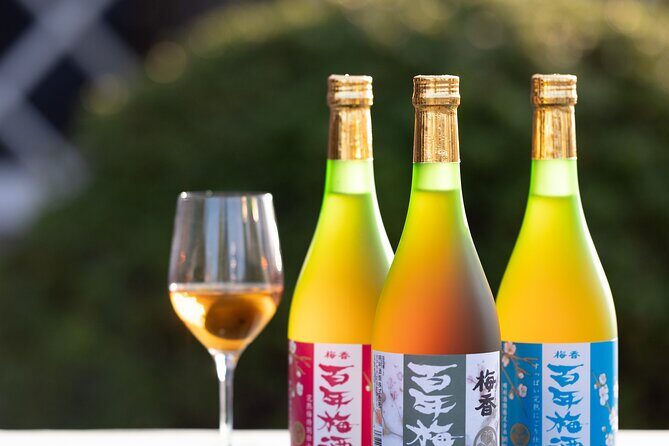 Explore Plum Wine Sake Museum and Japanese Alcohol Tasting - Introduction