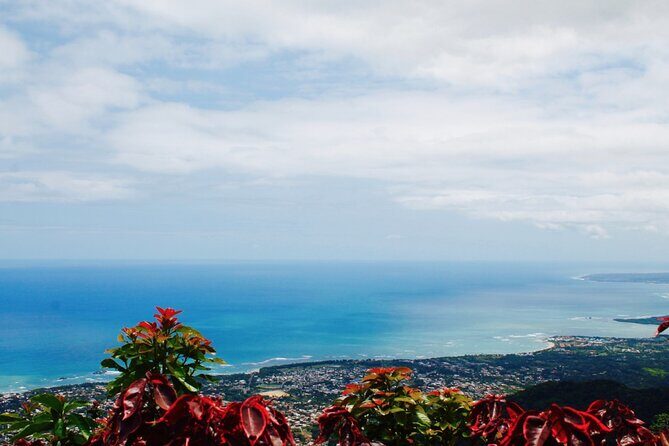 Explore Puerto Plata's Best & Cable Car - Shore Excursion - Authentic Experiences and Guest Feedback