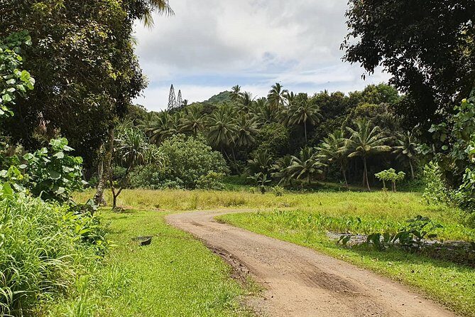'Explore' Rarotonga Guided Bike Tour with Lunch and Swim - FAQ