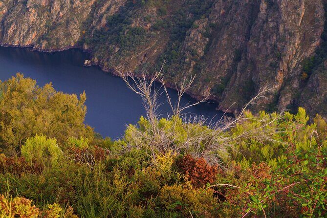 Explore Ribeira Sacra by Boat: Unique Excursion from Santiago - Transport, Timing, and Practical Tips