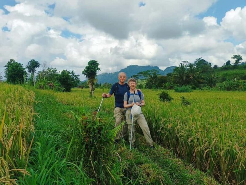 Explore rice terraces munduk & waterfall trekking experience - An Authentic Taste of Munduks Natural Beauty