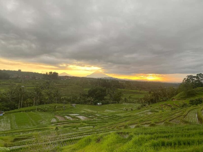 Explore rice terraces munduk & waterfall trekking experience - Value & Practical Tips