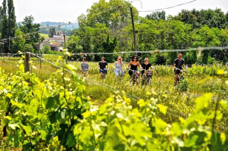 Explore Saint-Émilion on e-Bikes: Small Group, half-Day Tour - Discovering Saint-Émilion on E-Bikes: Small Group, Half-Day Tour