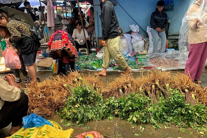 Explore San Thang local market-day, caves and the Hmong village - Who Is This Tour Best For?