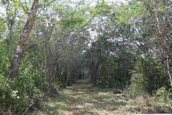 Explore Santa Bárbara Cenote Natural Wonders - The Sum Up