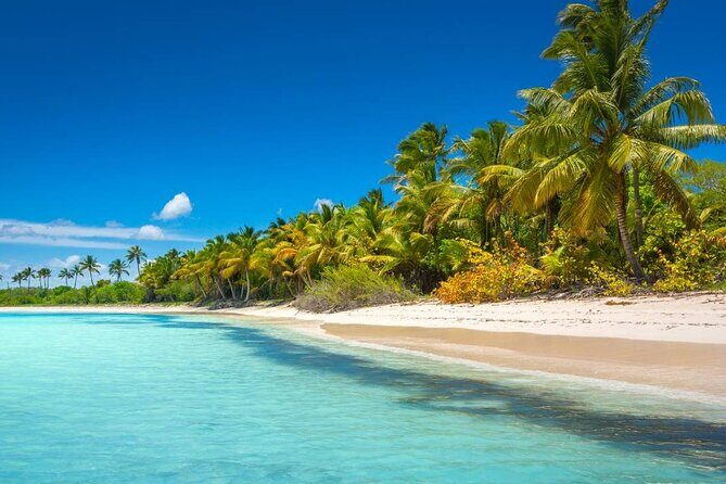 Explore Saona Island from Punta Cana Beaches Nature and Party - The Itinerary in Detail