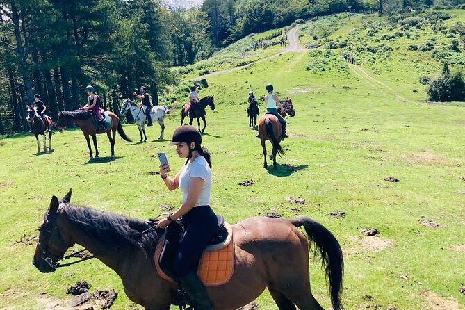 Explore Scenic Mountains and Horseback Riding - A Thorough Look at What to Expect