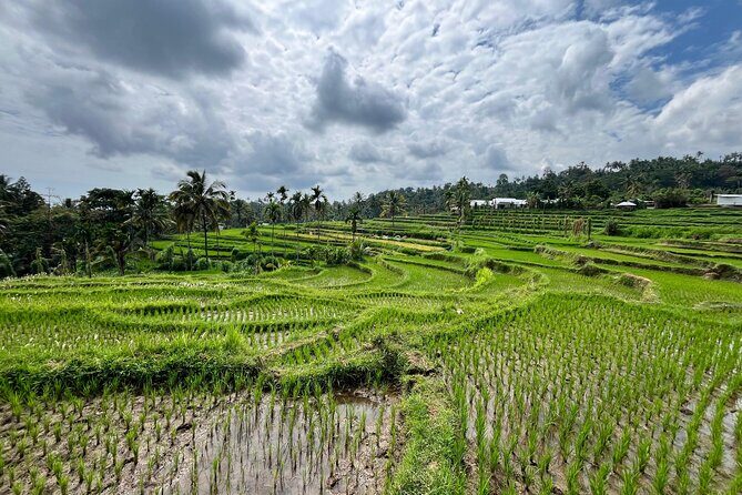 Explore Sendang Gile, Tiu Kelep Waterfall and Selong Hill - Final Thoughts