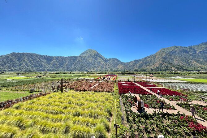 Explore Sendang Gile, Tiu Kelep Waterfall and Selong Hill - Who Should Consider This Tour