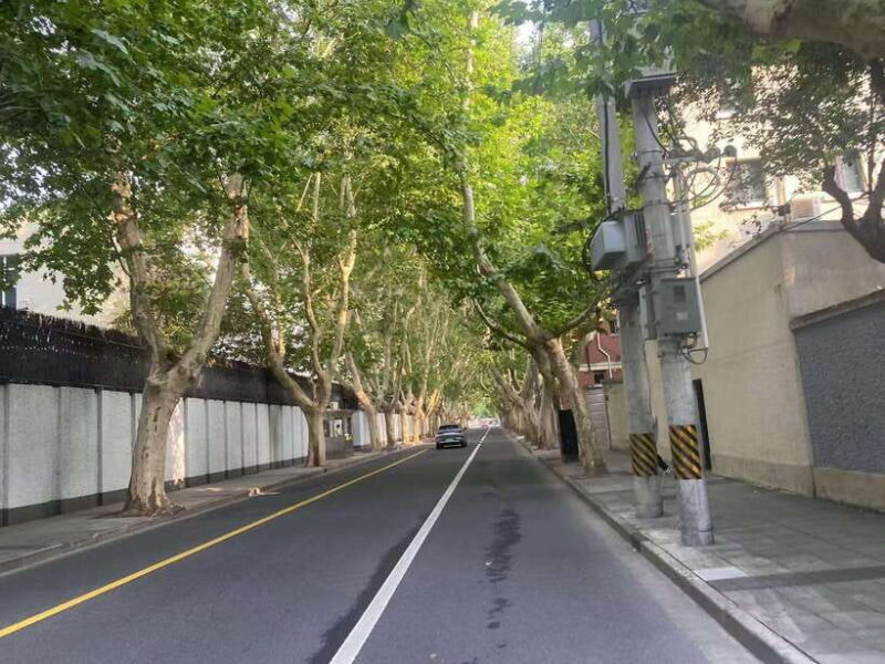 Explore Shanghai's Old Town & Suzhou River by Bike - Authentic Reviews
