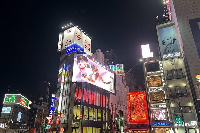 Explore Shinjuku by Night - What’s Included and What’s Not
