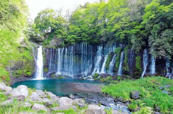 Explore Shizuoka with Private Car Tour - Why Choose This Tour?