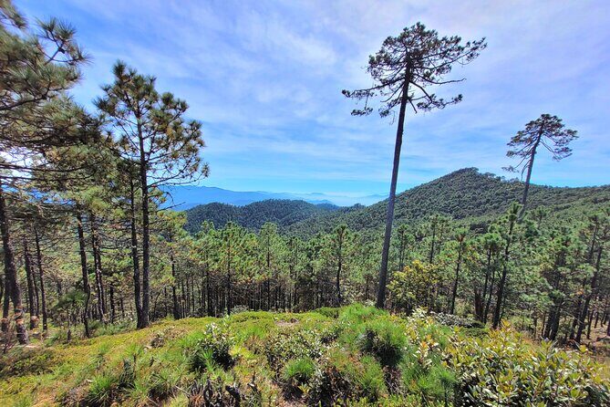 Explore Sierra Norte, Half-Day Hiking Adventure - FAQ