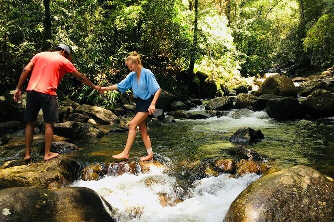 Explore Singharaja Forest Reserve (mirissa/weligama & Galle) - Exploring the Singharaja Forest Reserve: A Practical Look at a Nature-Drenched Tour