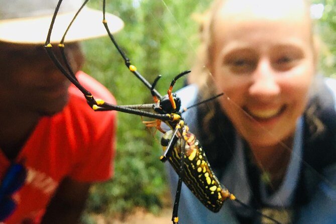 Explore Singharaja Forest Reserve (mirissa/weligama & Galle) - Transport, Timing, and Practical Details