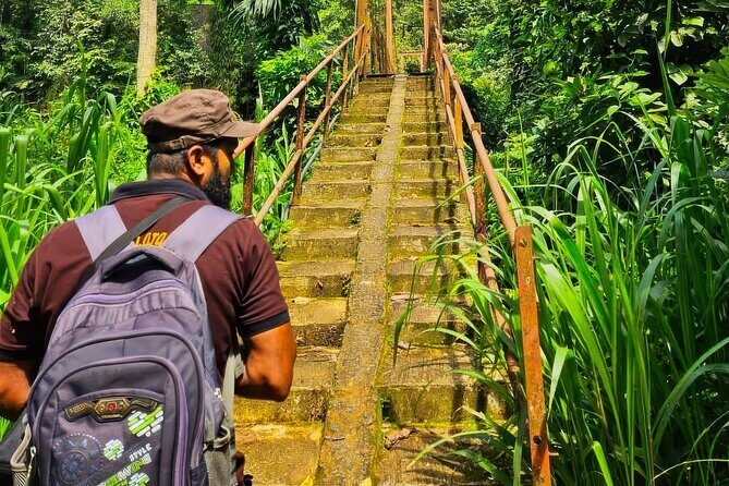 Explore Singharaja Rain Forest from Hambantota - The Experience of Visiting Sinharaja Rainforest from Hambantota