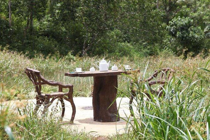 'Explore Sinharaja' rainforest - Discovery Tour (half day) - Key Points