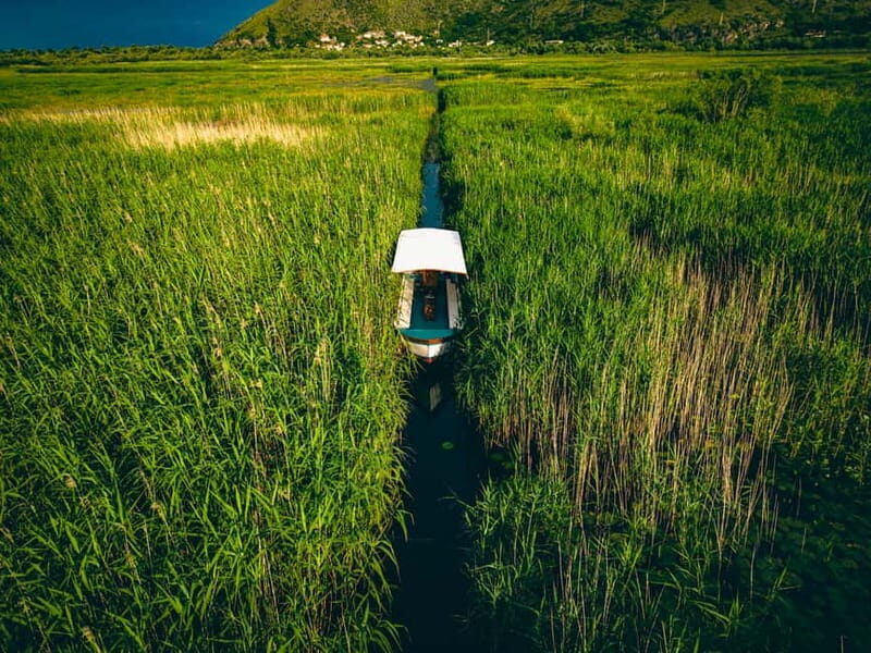 Explore Skadar Lake: Exclusive Guided Boat Falcon Tour! - Key Points