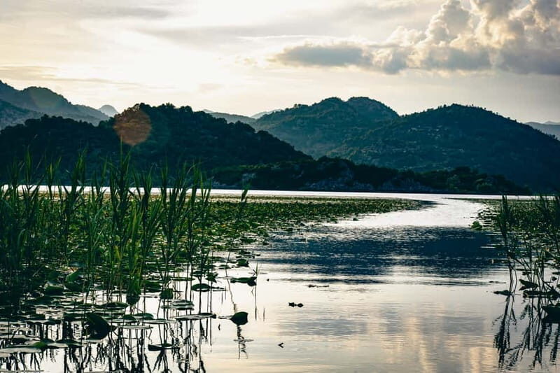 Explore Skadar Lake: Exclusive Guided Boat Falcon Tour! - What’s Included and What to Consider