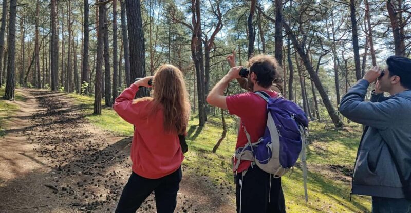 Explore Sobieszewo Island: Nature Walk & Wildlife Tour - Introduction