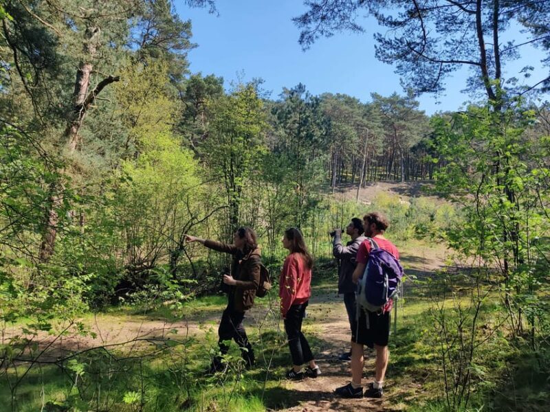 Explore Sobieszewo Island: Nature Walk & Wildlife Tour - The Itinerary: A Closer Look