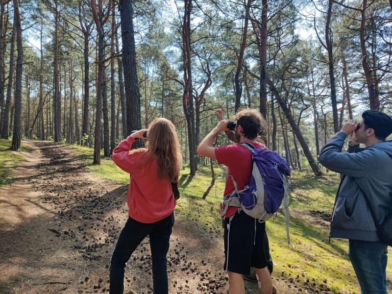Explore Sobieszewo Island: Nature Walk & Wildlife Tour - The Experience: Why It Matters