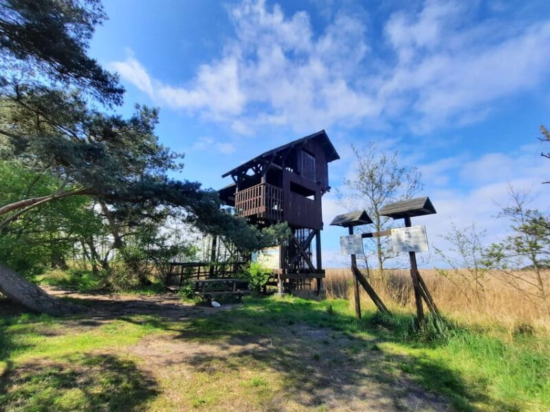 Explore Sobieszewo Island: Nature Walk & Wildlife Tour - Practical Details