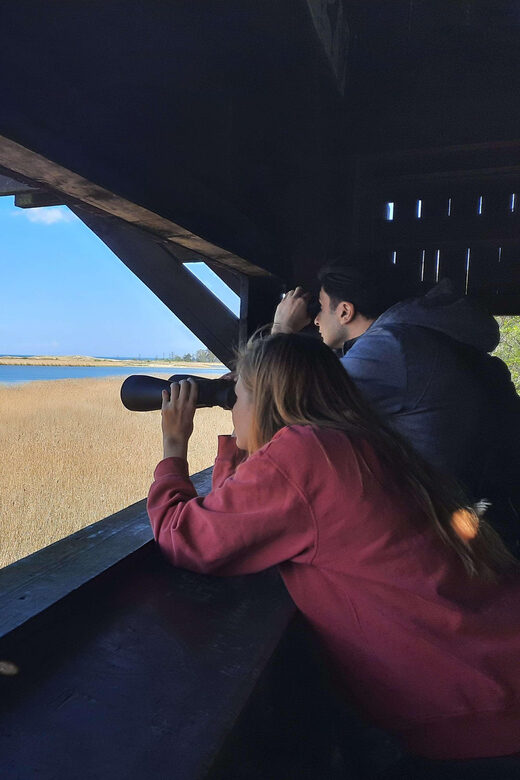 Explore Sobieszewo Island: Nature Walk & Wildlife Tour - Who Should Consider This Tour?