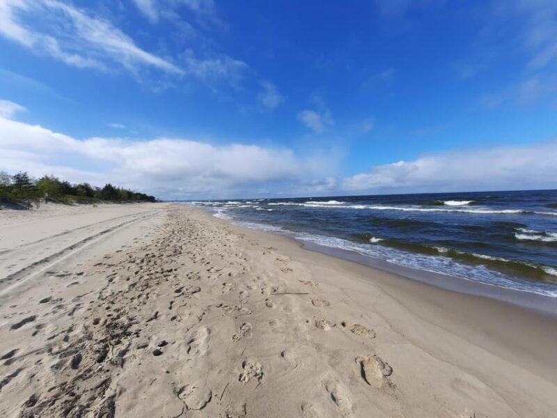 Explore Sobieszewo Island: Nature Walk & Wildlife Tour - Final Thoughts