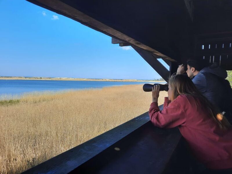 Explore Sobieszewo Island: Nature Walk & Wildlife Tour - FAQ