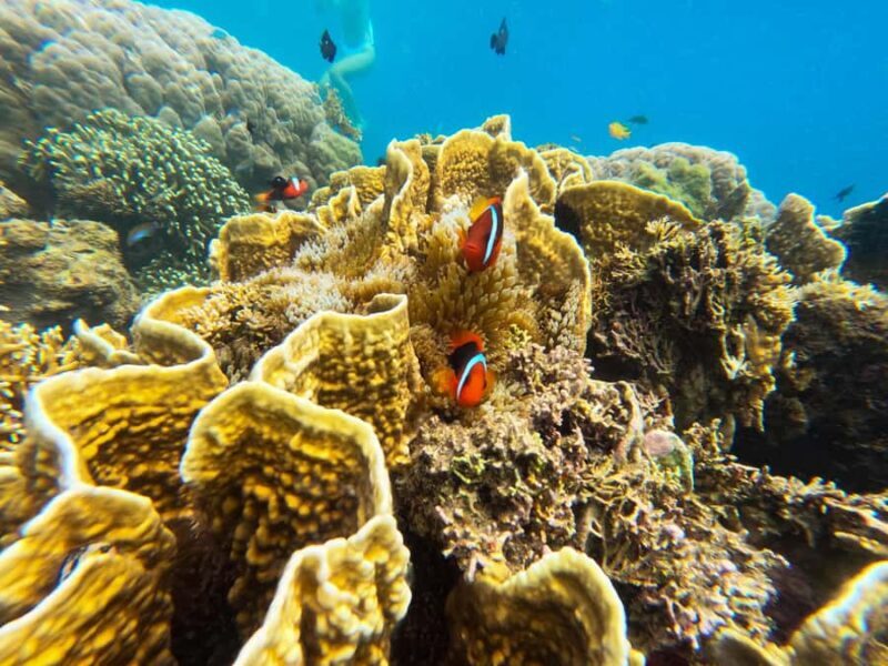 Explore Southwest Gili : Gili Asahan, Goleng, Layar & Gede - Returning to Your Hotel