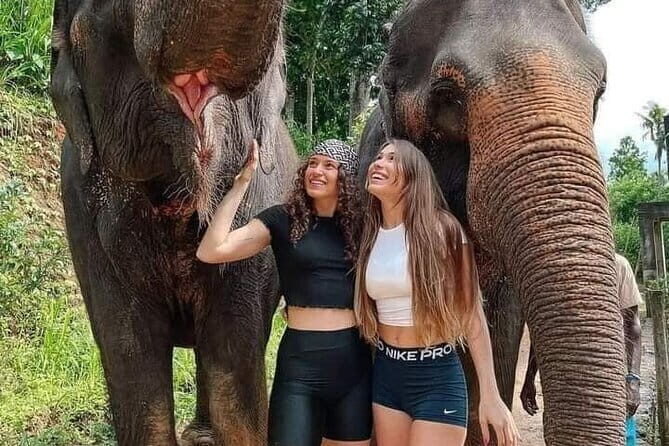 Explore Sri Lanka in 5 Days with Breakfast and Luxury Car - Key Points