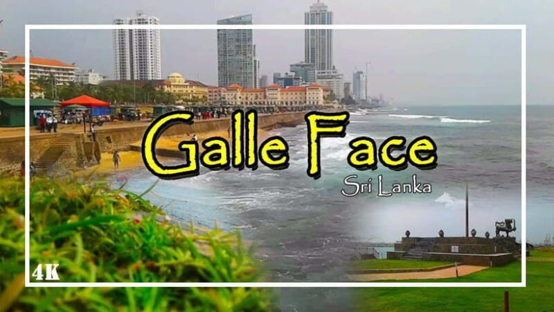 Explore Sri Lanka: One-Day City Tour with Colombo Highlights - The Sum Up: Who Will Love This Tour?