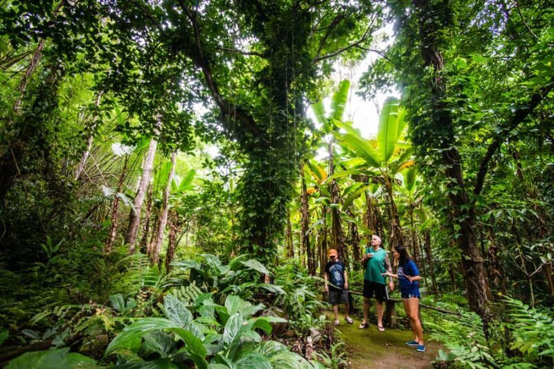 Explore Sri Sangwan Waterfall and Giant Cave I Chiang Mai - FAQ