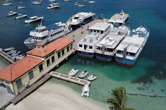 Explore St. John Private Full Day Island Tour - How the Tour Works and What to Expect