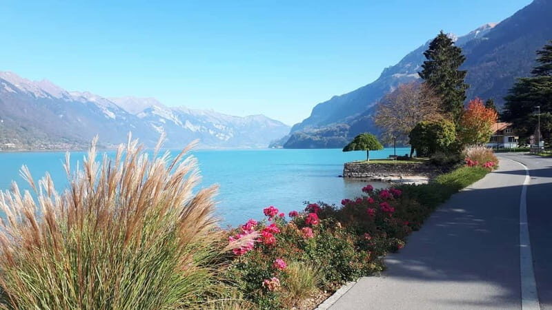 Explore Swiss Villages: Interlaken-Grindelwald(Private Tour) - An In-Depth Look at the Tour Experience