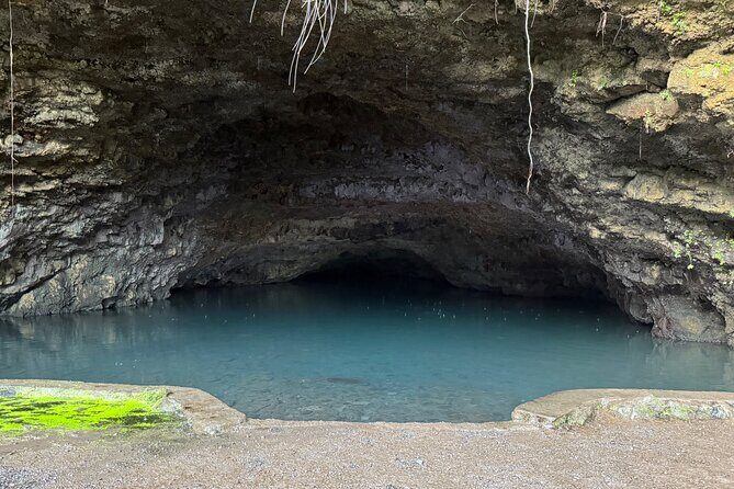 Explore Tahiti in depth in a day - Who Will Love This Tour?