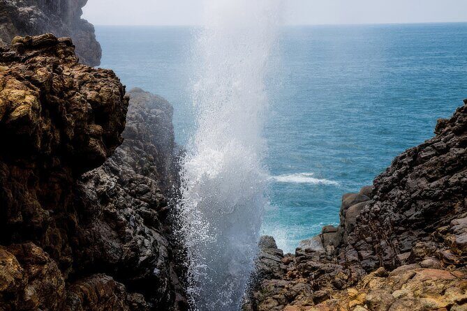 Explore Tangalle's History and Nature Private Shore Excursion - Introduction: A Day of Authentic Sri Lanka