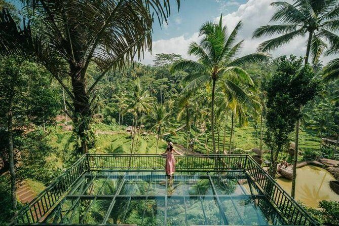 Explore Tegalalang's Rice Terraces & Stunning Volcano Views - Who Will Love This Tour?