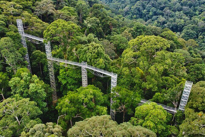 Explore Temburong with Canopy Tower - The Itinerary: What to Expect on Your Day in Temburong