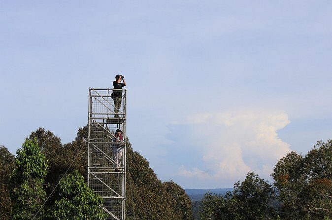 Explore Temburong with Canopy Tower - Authentic Experiences and Practical Tips