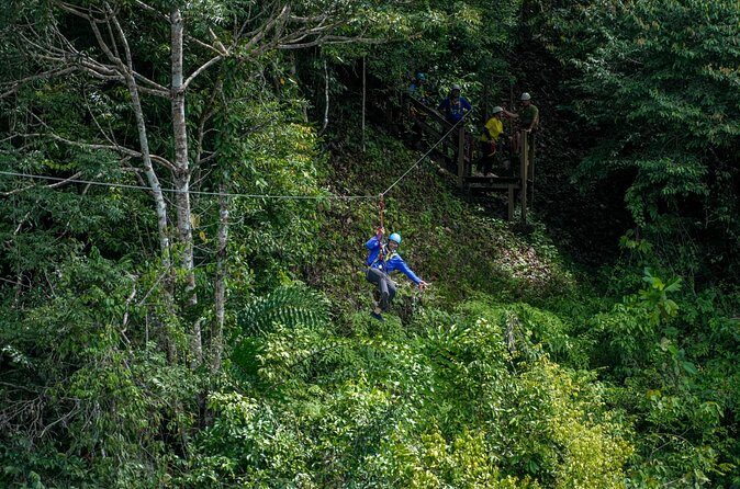 Explore Temburong with Canopy Tower - The Sum Up: Is It Worth It?