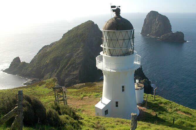 Explore The Bay of Islands Full Day Private Tour from Auckland - An Introduction to the Experience