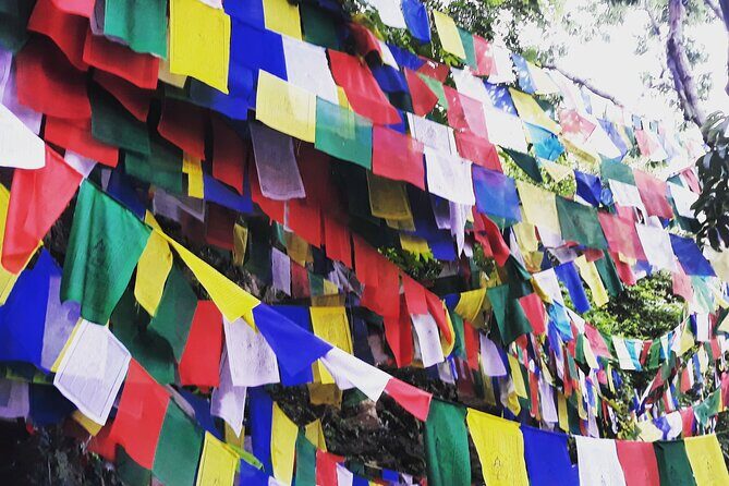 Explore the Beauty of Champa Devi: A Rewarding Hiking Experience - The Detailed Experience of the Champa Devi Hiking Tour