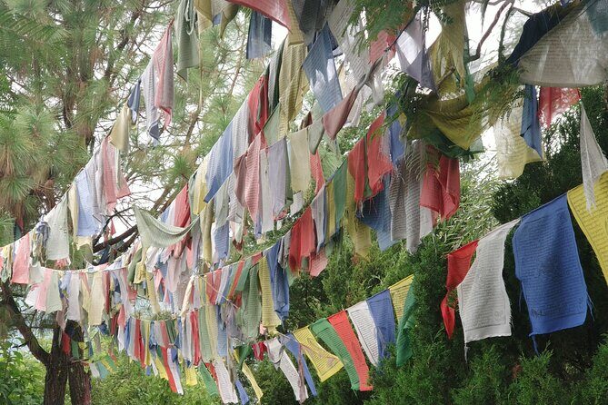 Explore the Beauty of Champa Devi: A Rewarding Hiking Experience - Who This Tour Is Best For