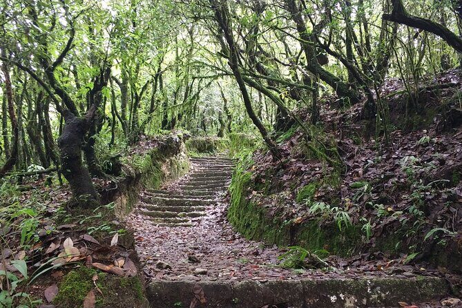 Explore the Beauty of Champa Devi: A Rewarding Hiking Experience - Final Thoughts