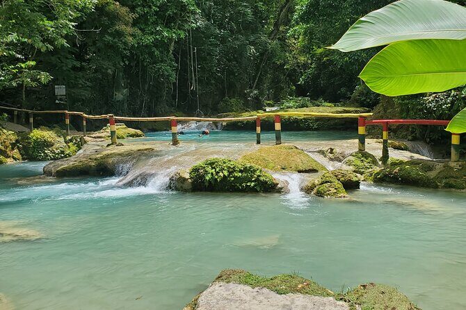 Explore the Beauty of Montego Bay Nature Tour in Jamaica - Final Thoughts: Who’s This Tour Best For?