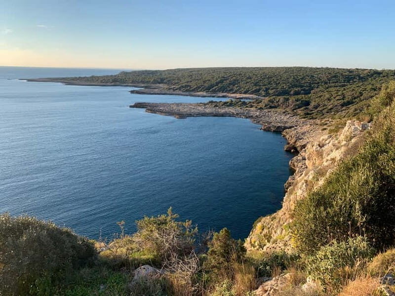 Explore the Beauty of Porto Selvaggio Self-Guided Bike Tour - What to Expect on the Day