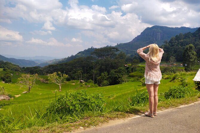 Explore the best of Ella. Hiking, waterfalls and cultural tour - Who Will Love This Tour?